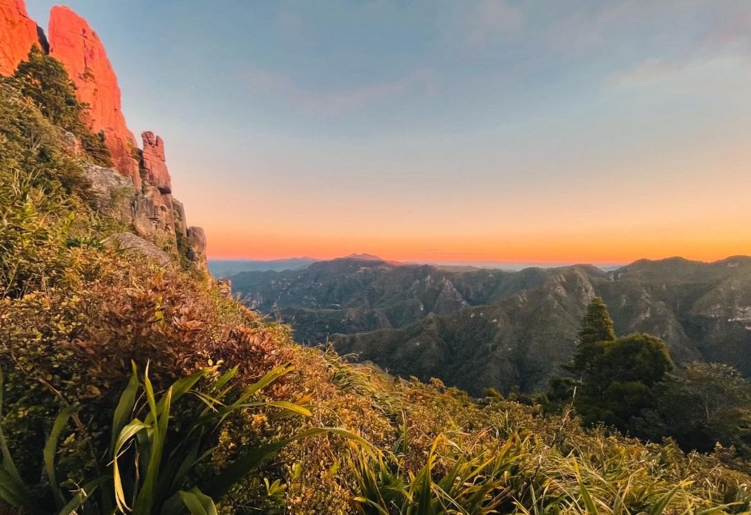 Pinnacles Walk – shem banbury