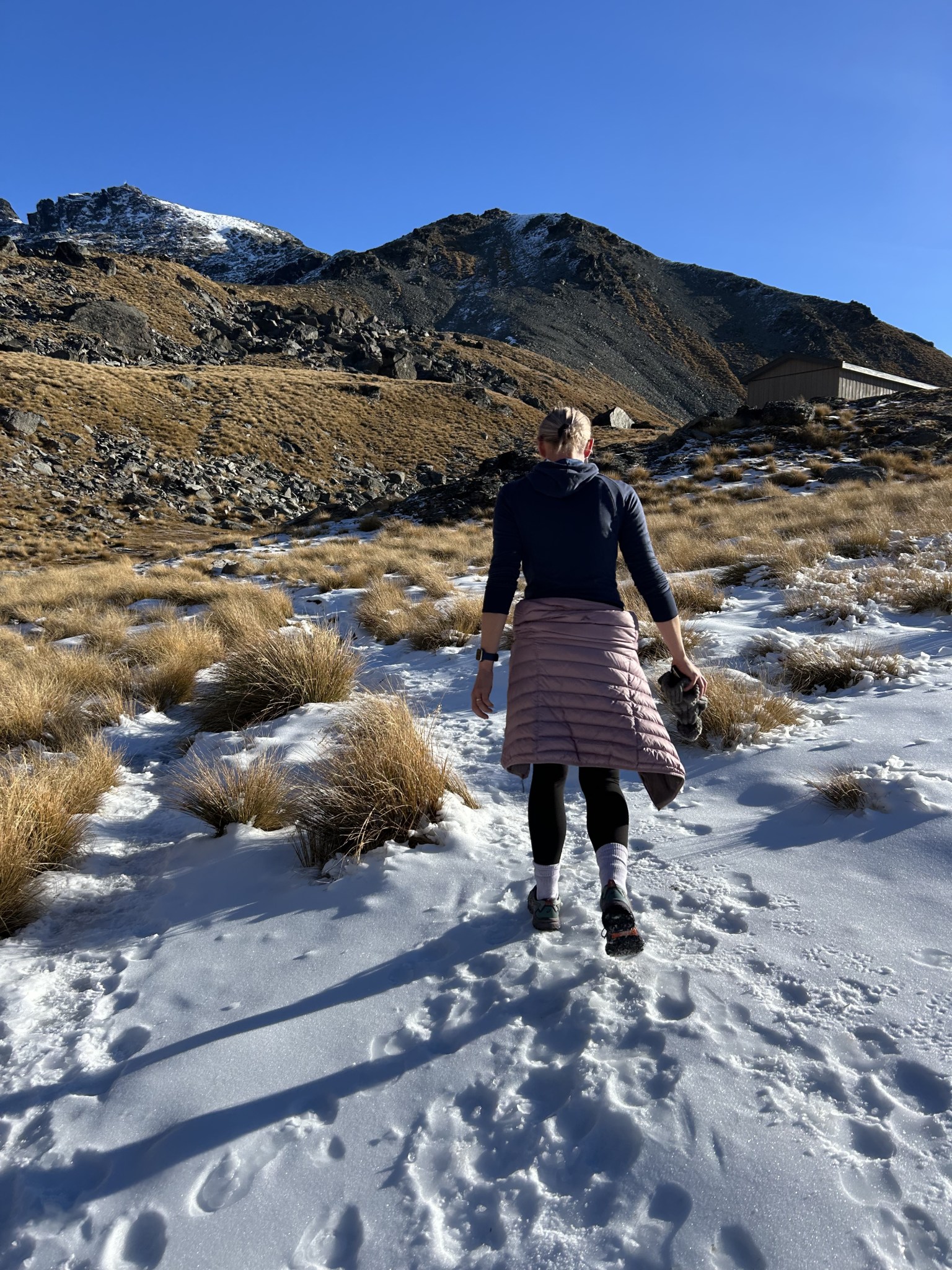 Lake Alta: A Short Walk Into the Alpine World – shem banbury